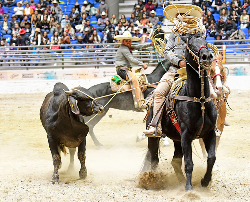 Fuerza Mexiquense vuelve por sus fueros – Portal DeCharros – Mexicanos ...
