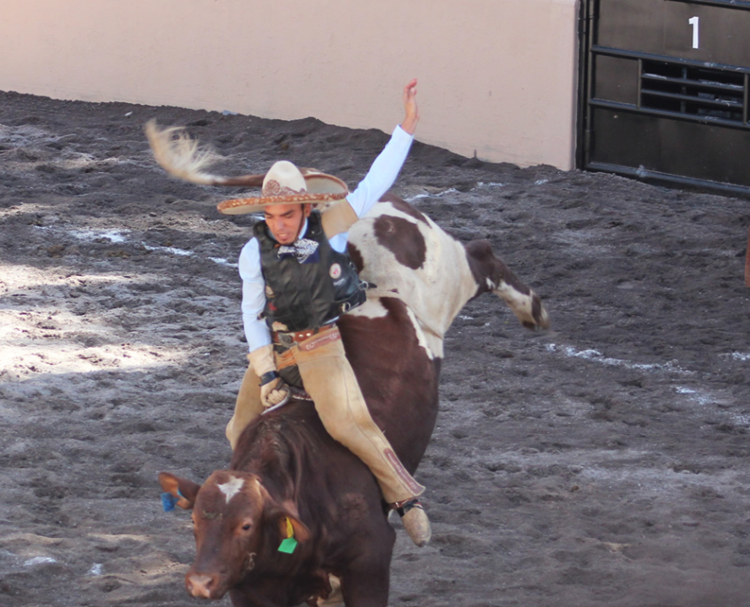 Programa del Campeonato Charro de los 3 Toño´s – Portal DeCharros ...