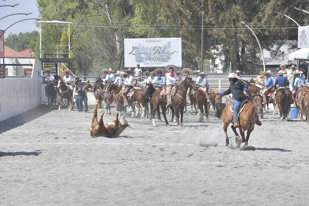 RODOLFO VALDEZ ES CAMPEÓN EN EL «COLEADERO INTERNACIONAL MEXICANO» EN ...