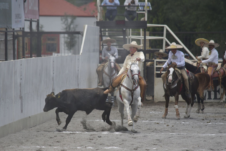 “POR EL GUSTO DE CONQUISTARLO” HUGO PEDRERO, CAMPEÓN DEL COLEADERO ...