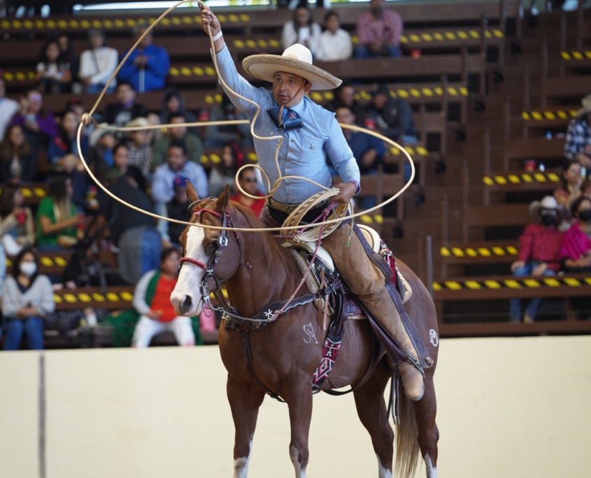 Con Boleto para Final Dominical, Ahora Fueron los Tamaulipecos – Portal ...