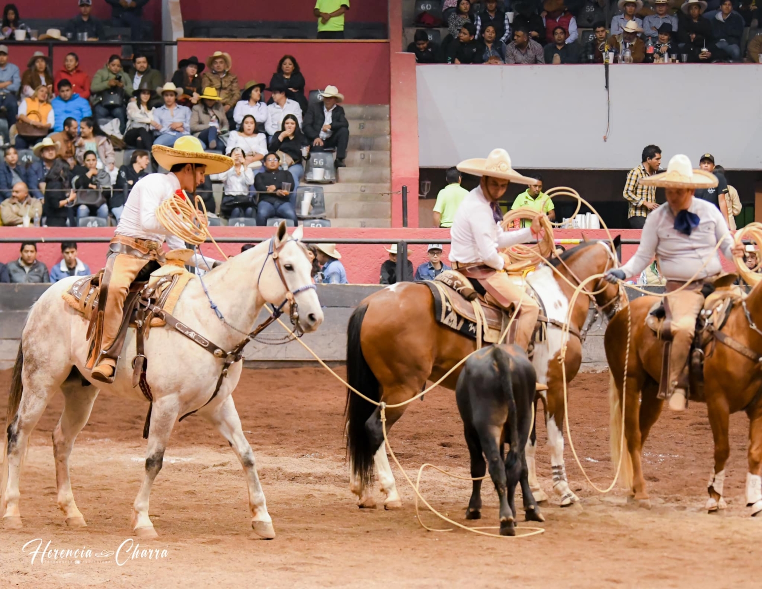 Todo un éxito la Gran Charreada Nocturna de Pachuca. – Portal DeCharros ...
