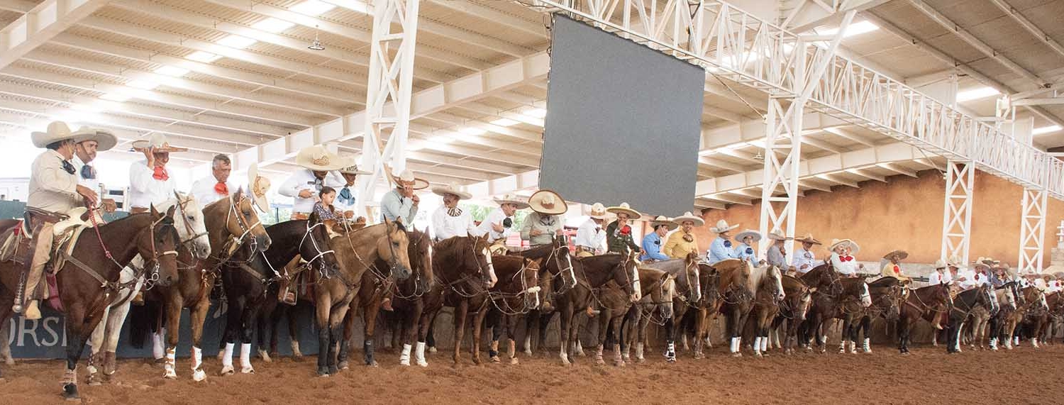 COLEADERO CHARROS MAYORES Y ABIERTO EN RANCHO NAVEJA QH, UNION DE SAN ANTONIO, JAL. 13 DE ...